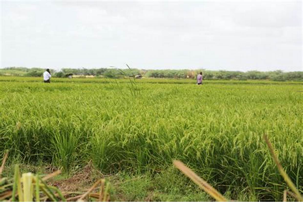 Cách tính tiền thuê đất khi trả tiền một lần - Công Chứng Quận Hai Bà ...